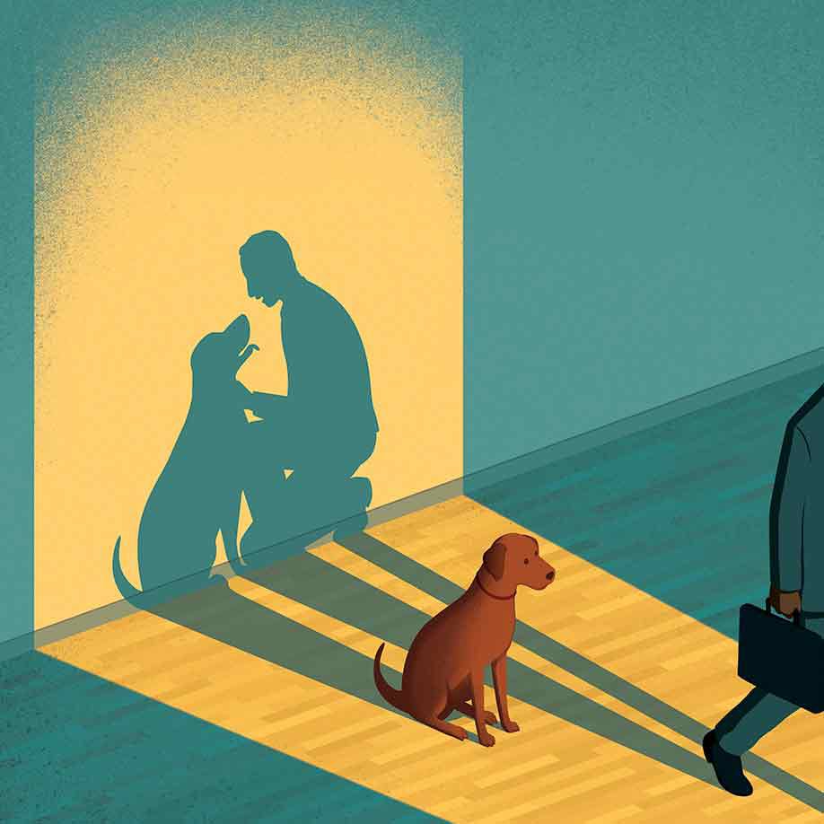 Does Having Pets Reduce Stress? - The Opinist
